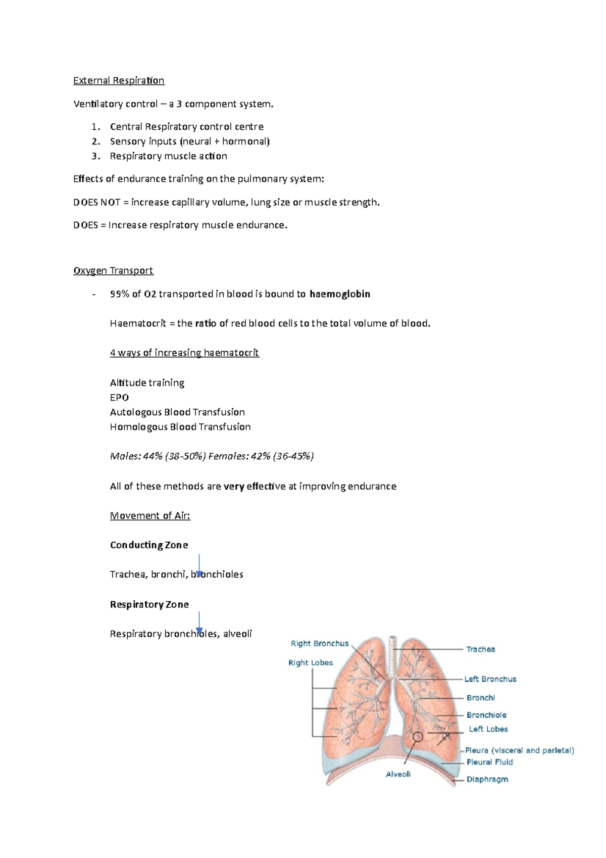 Respiration - External Respiration - External Respiration Ventilatory ...