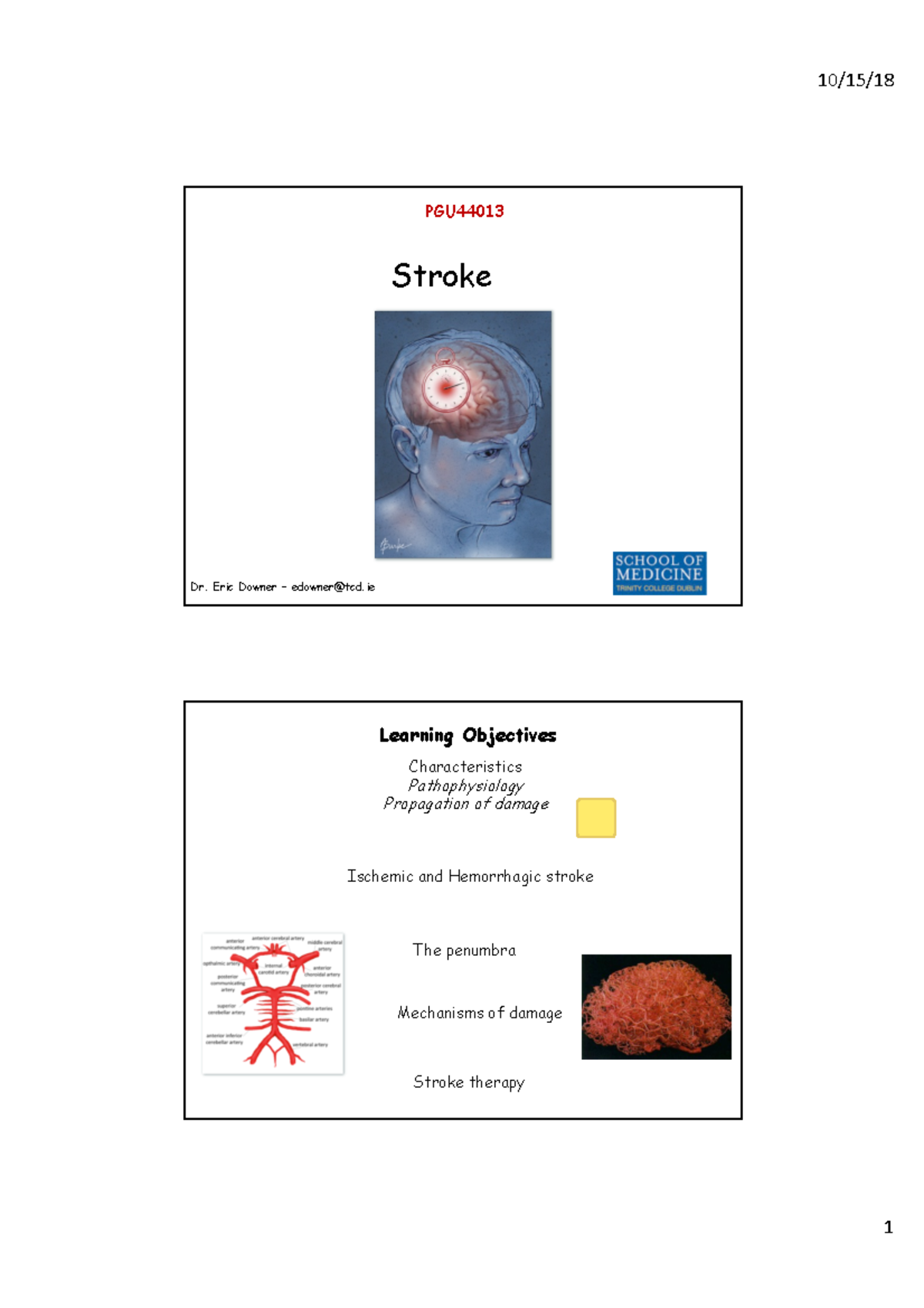 Lecture 2 - Stroke intro - PGU44013 - PGU44013 Stroke Dr. Eric Downer ...