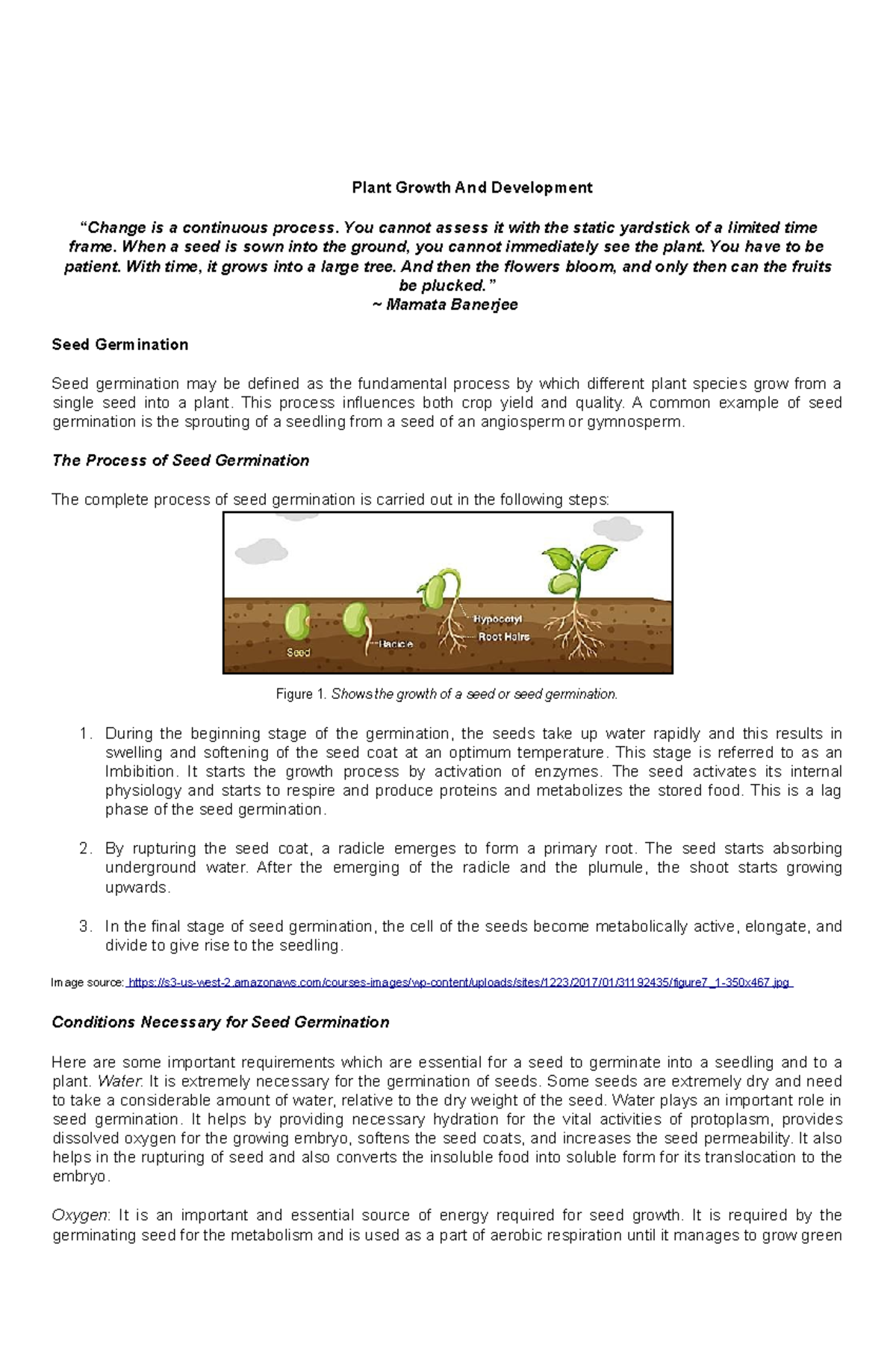Plant Growth And Development - Plant Growth And Development “Change is ...