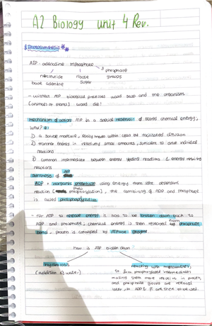 Science Stage 6 Sample Paper 2 tcm142-595413 - Science_S6_02/8RP© UCLES ...