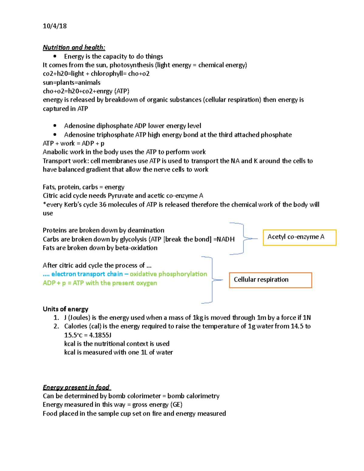 Nutrition and health - overall notes - Nutrition and health: Energy is ...