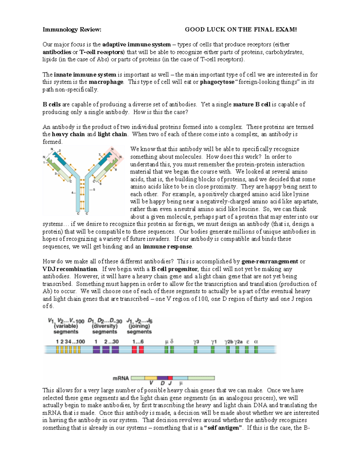Immunology review!!!!! 2020 year - Immunology Review: GOOD LUCK ON THE ...