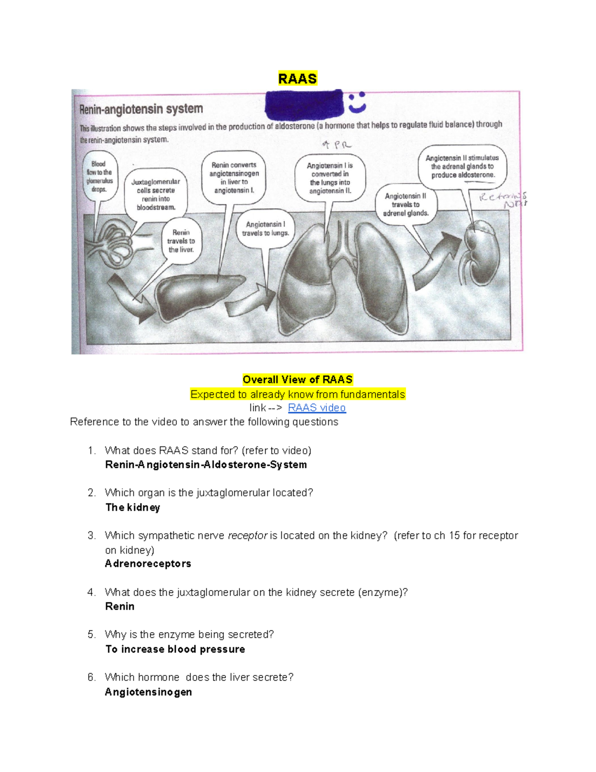 RN35B - RAAS Assignment - RAAS Overall View of RAAS Expected to already ...