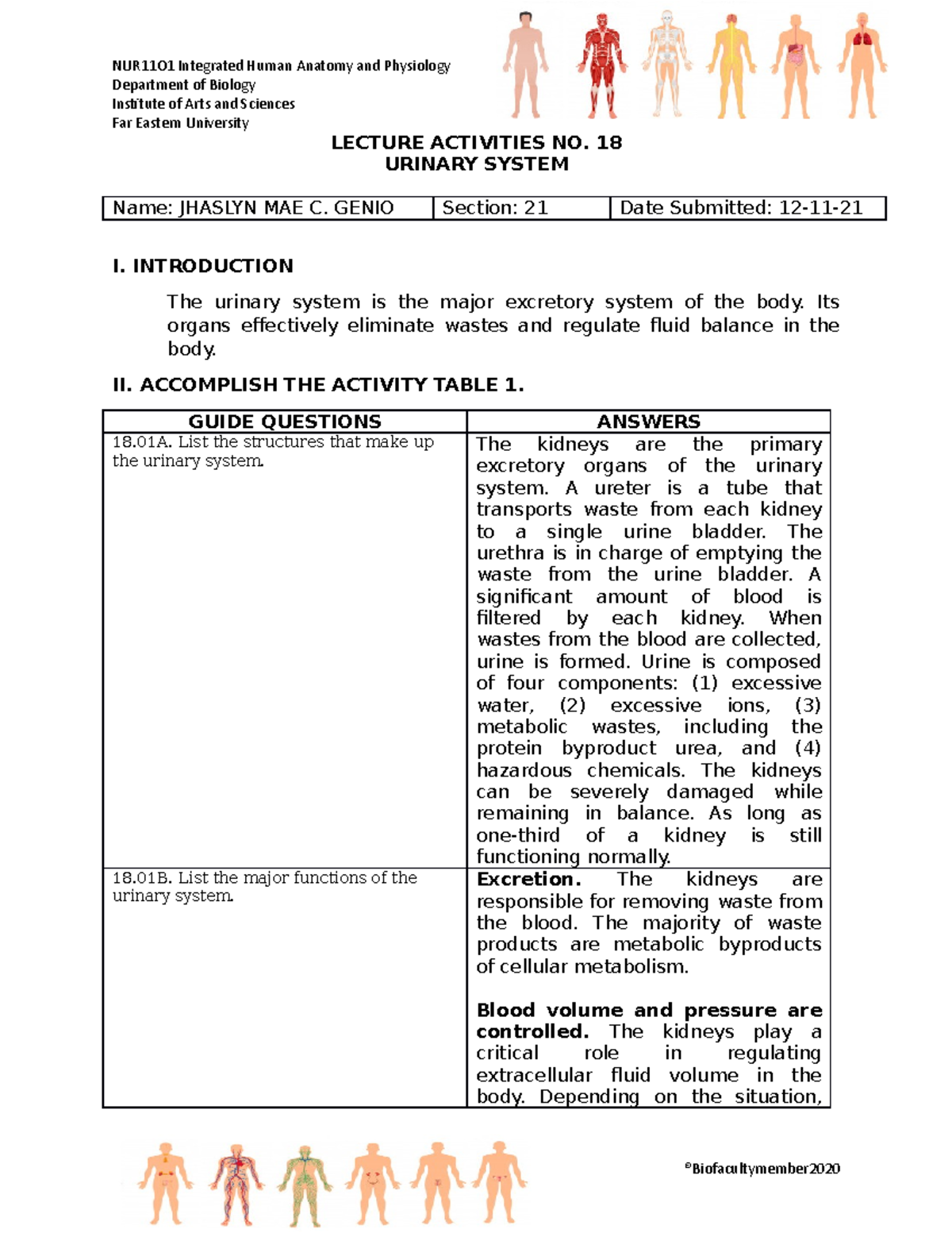 LEC Activity 18 Urinary System - Department of Biology Institute of ...