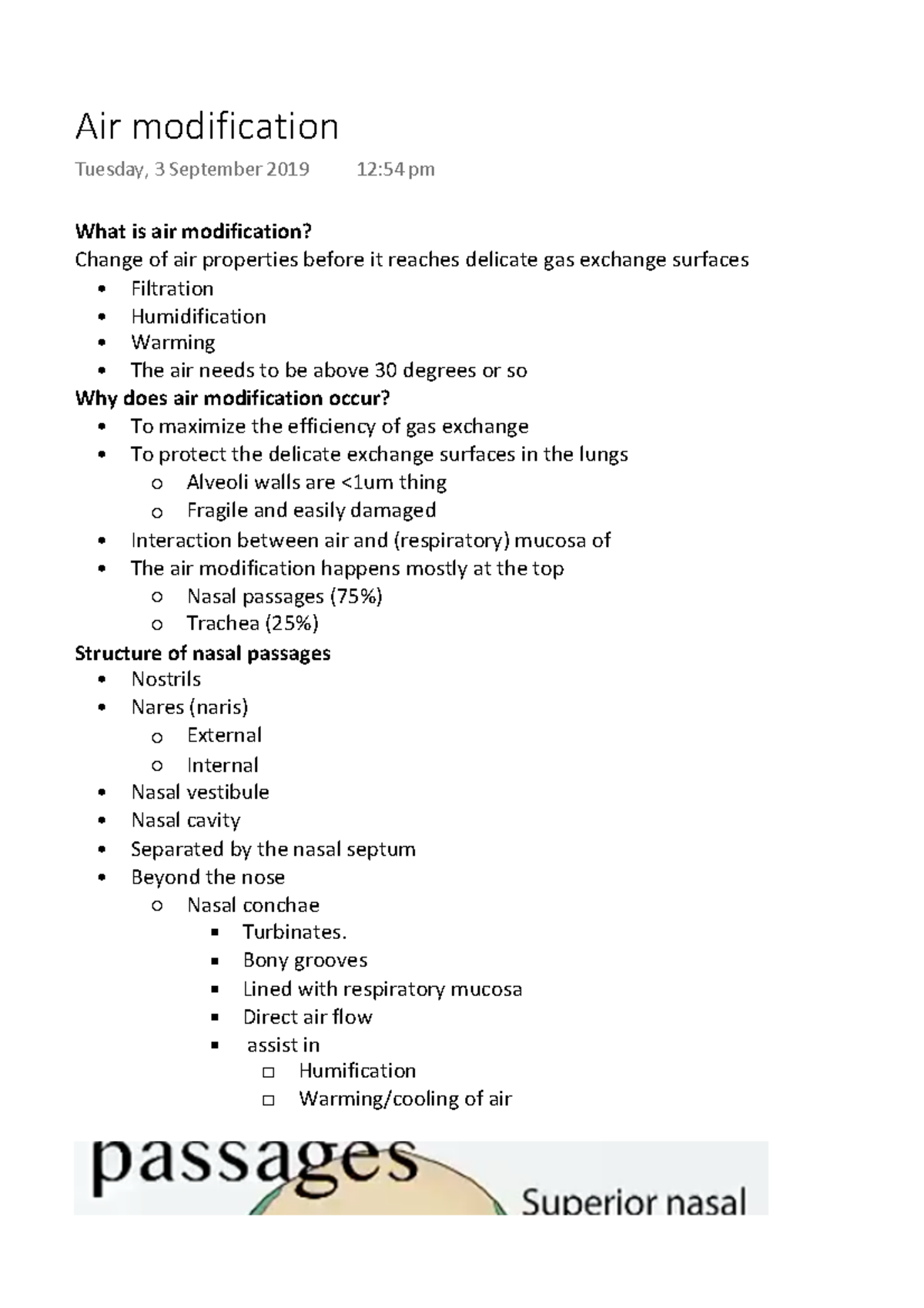 Air modification - Lecture notes The Respiratory System - What is air ...