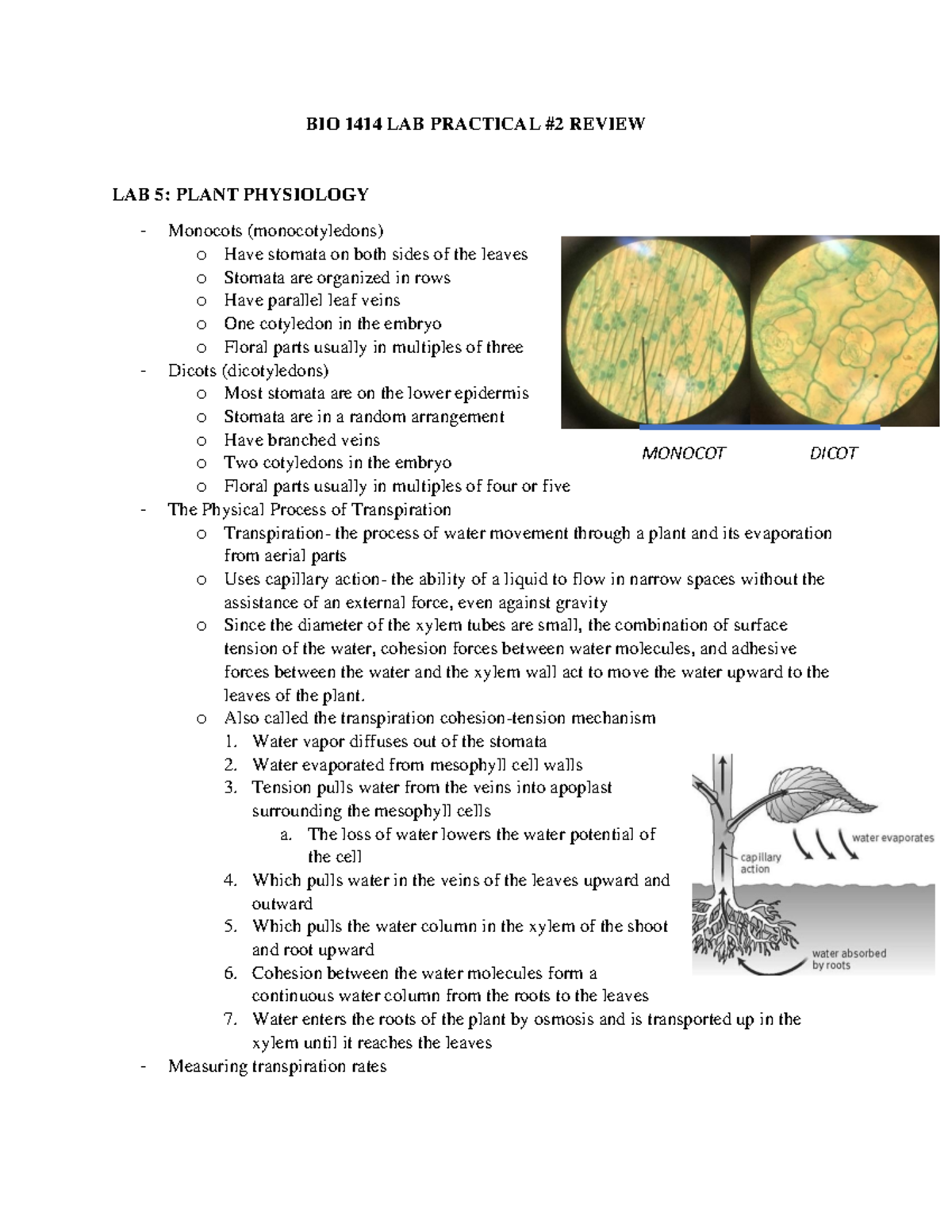 Bio 1414 Lab Practical N2 Warning Tt Undefined Function 32 Bio 1414 Lab Practical 2