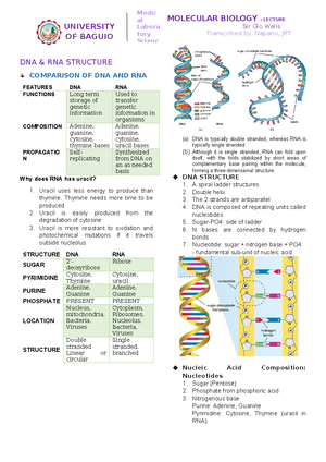PCR - polymerase chain reaction - 1 IMPORTANT CONCEPTS OF PCR BASIC ...