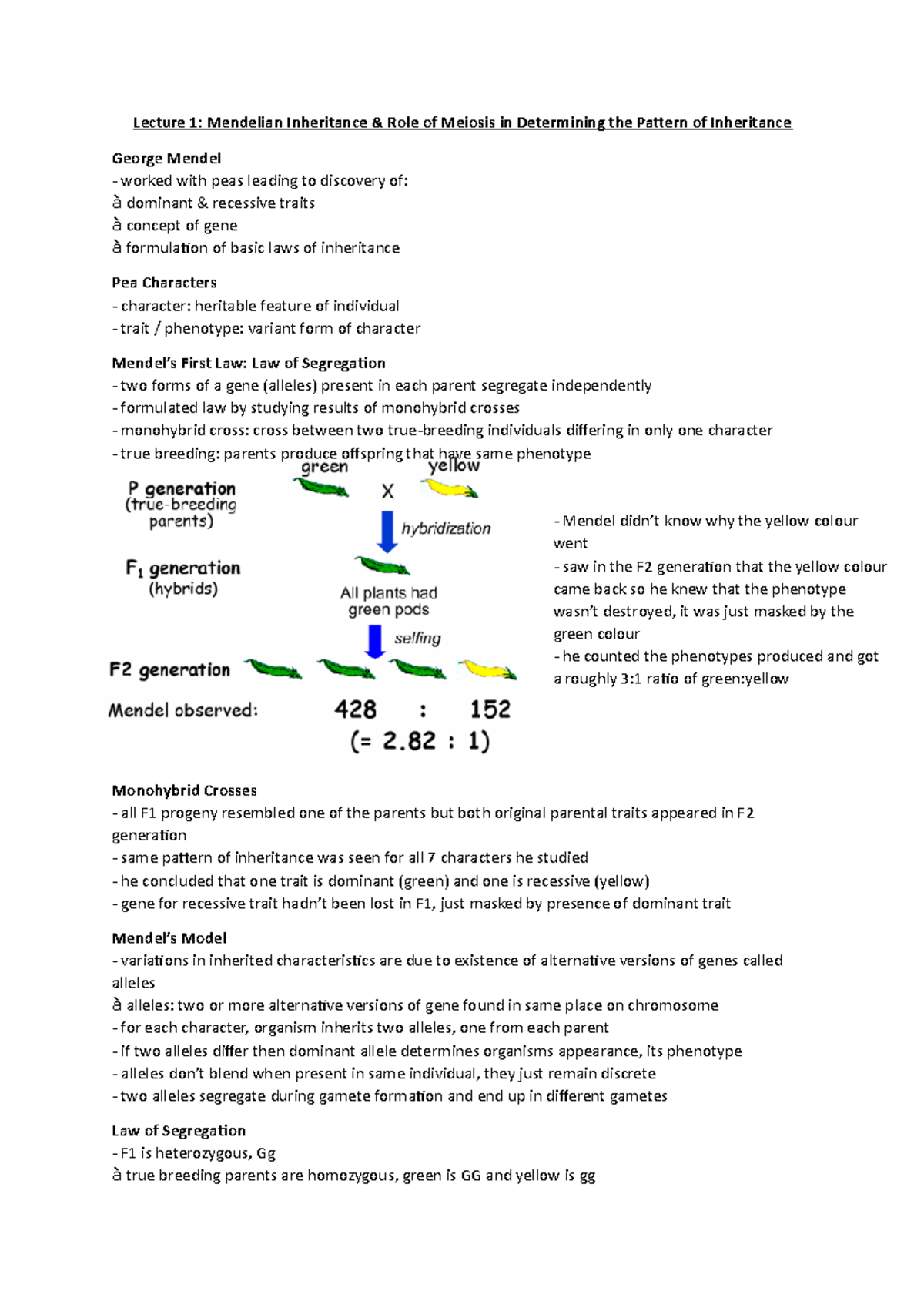Notes; genetics - Lecture 1: Mendelian Inheritance & Role of Meiosis in ...