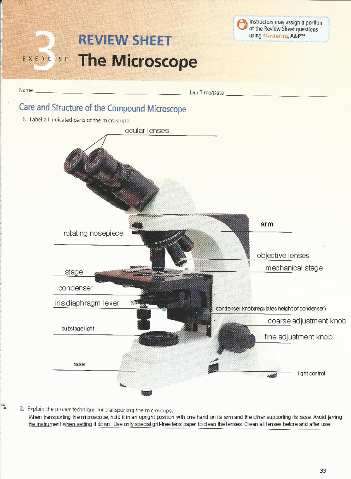 AP - Lab Ex. 03.pdf completed - bio 211 - Studocu