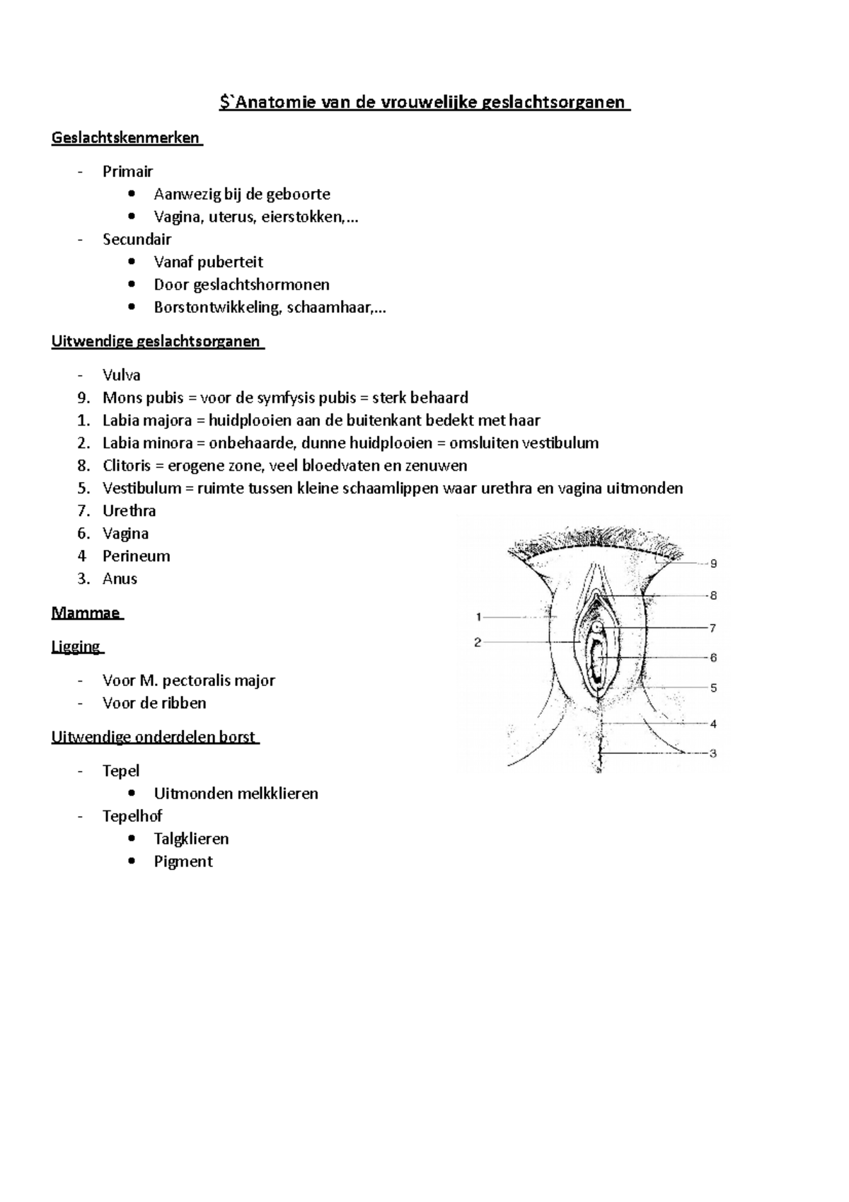 Anatomie van de vrouwelijke geslachtsorganen[ 54] - $`Anatomie van de ...