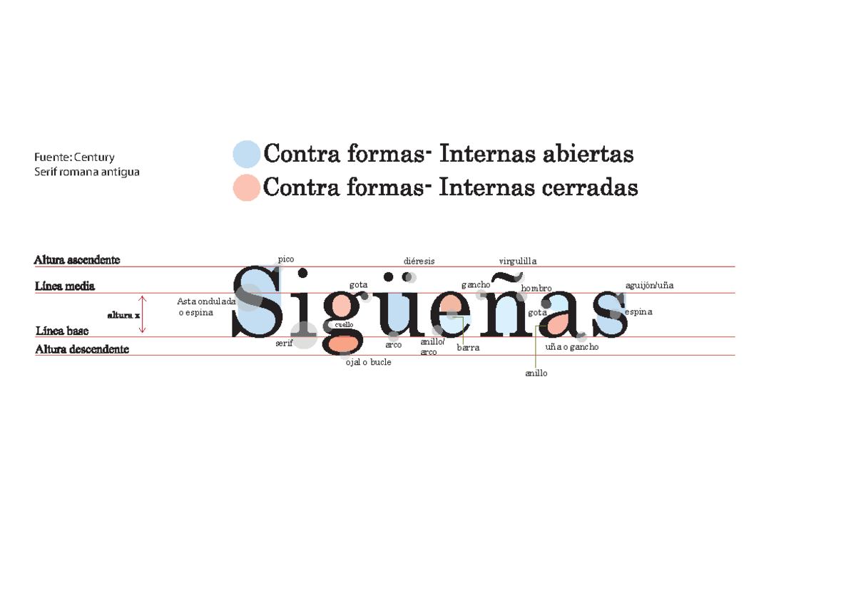 Anatomía de la letra- Fátima Liseth Sigüeñas Alarcón - Anatomía y ...