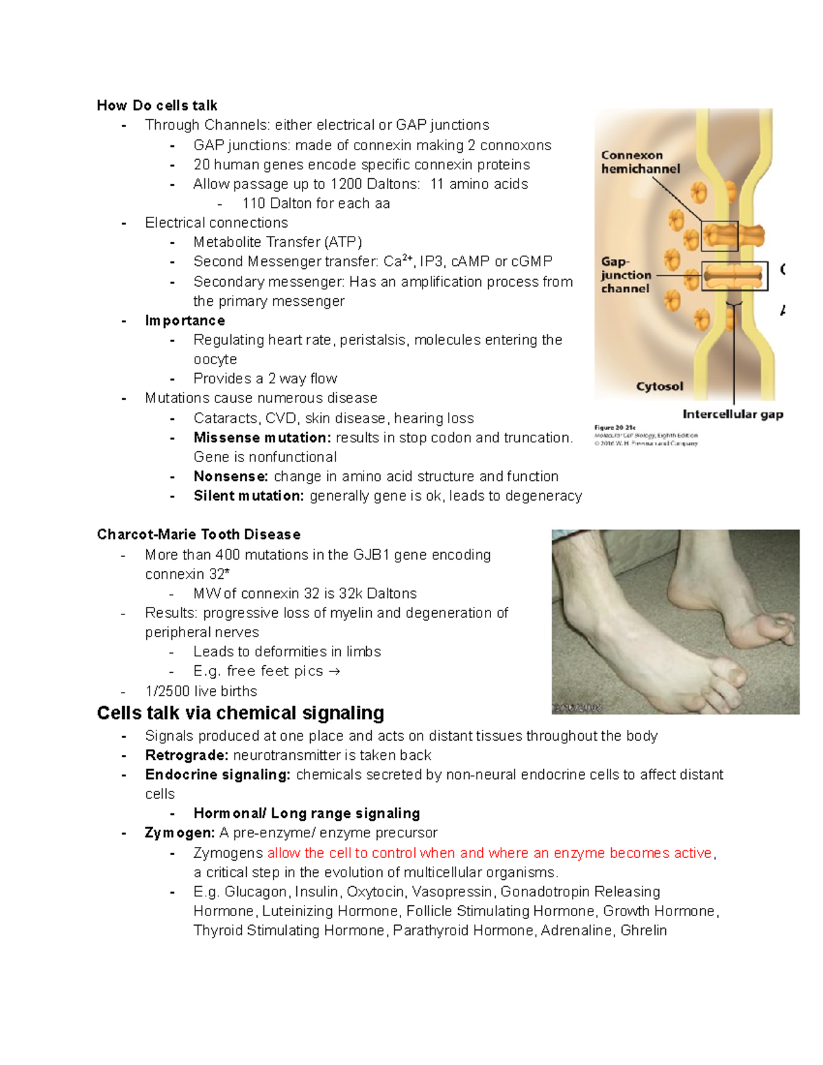 Week 1 - Lecture notes for G. Kelly - How Do cells talk - Through ...