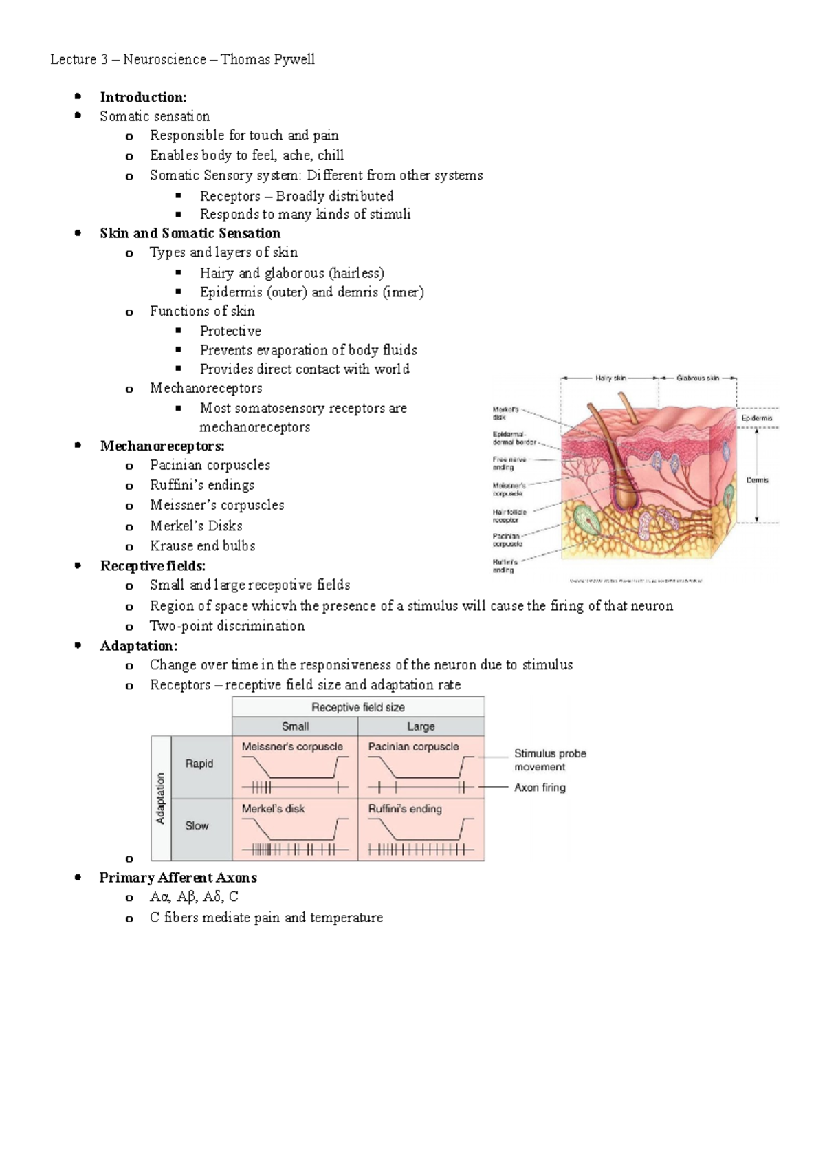 Lecture 3 - Neuroscience - Lecture 3 – Neuroscience – Thomas Pywell ...