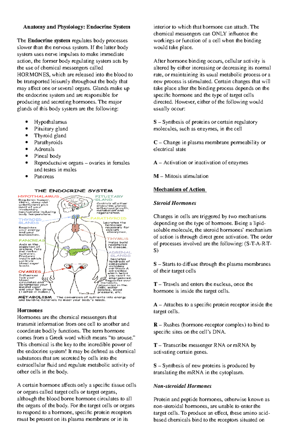 Endocrine anat and phys - Anatomy and Physiology: Endocrine System The ...