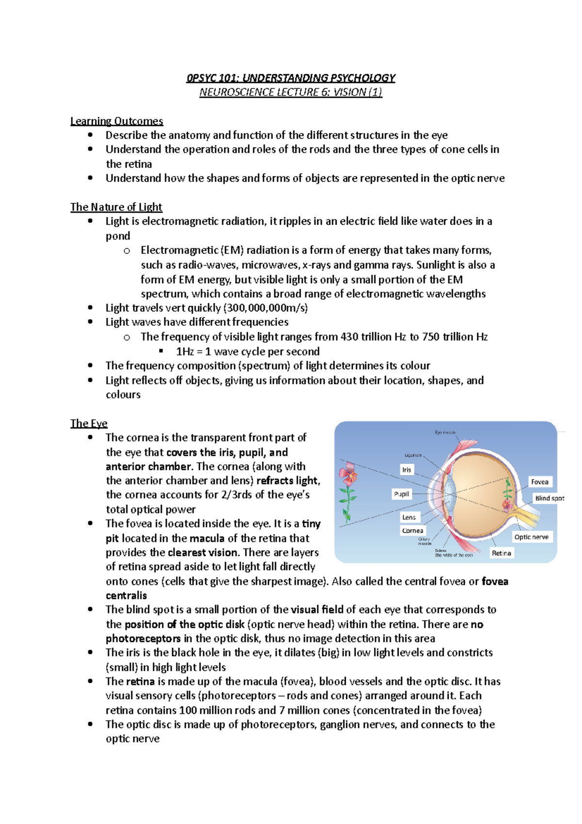 Neuroscience Lecture 6: Vision - 0PSYC 101: UNDERSTANDING PSYCHOLOGY ...