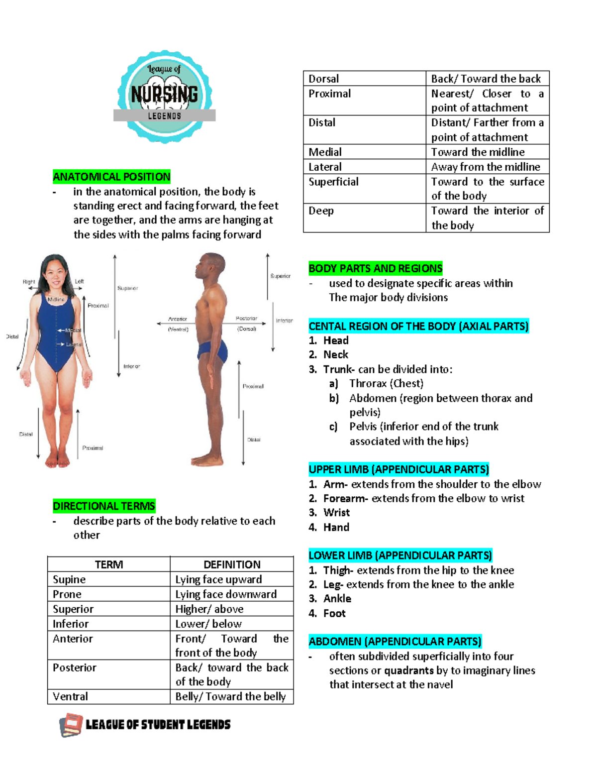 2. Directional Terms, Planes - ANATOMICAL POSITION - in the anatomical ...