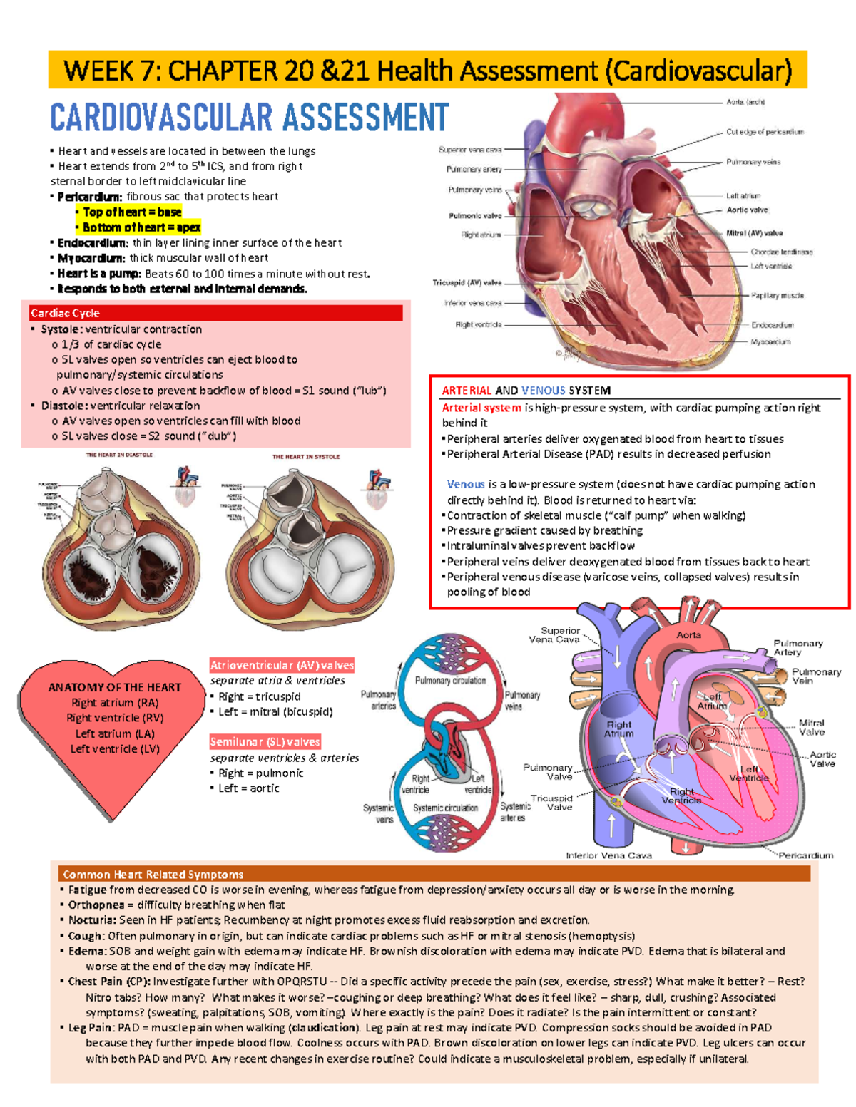 Cardiovascular Notes WEEK 7 CHAPTER 20 21 Health Assessment