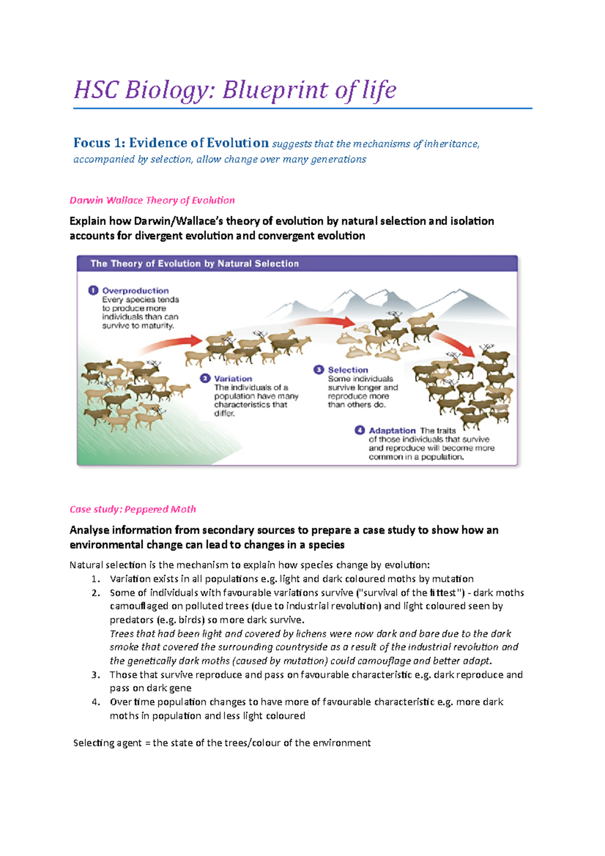 386 Bio Blueprint of life - HSC Biology: Blueprint of life Focus 1 ...