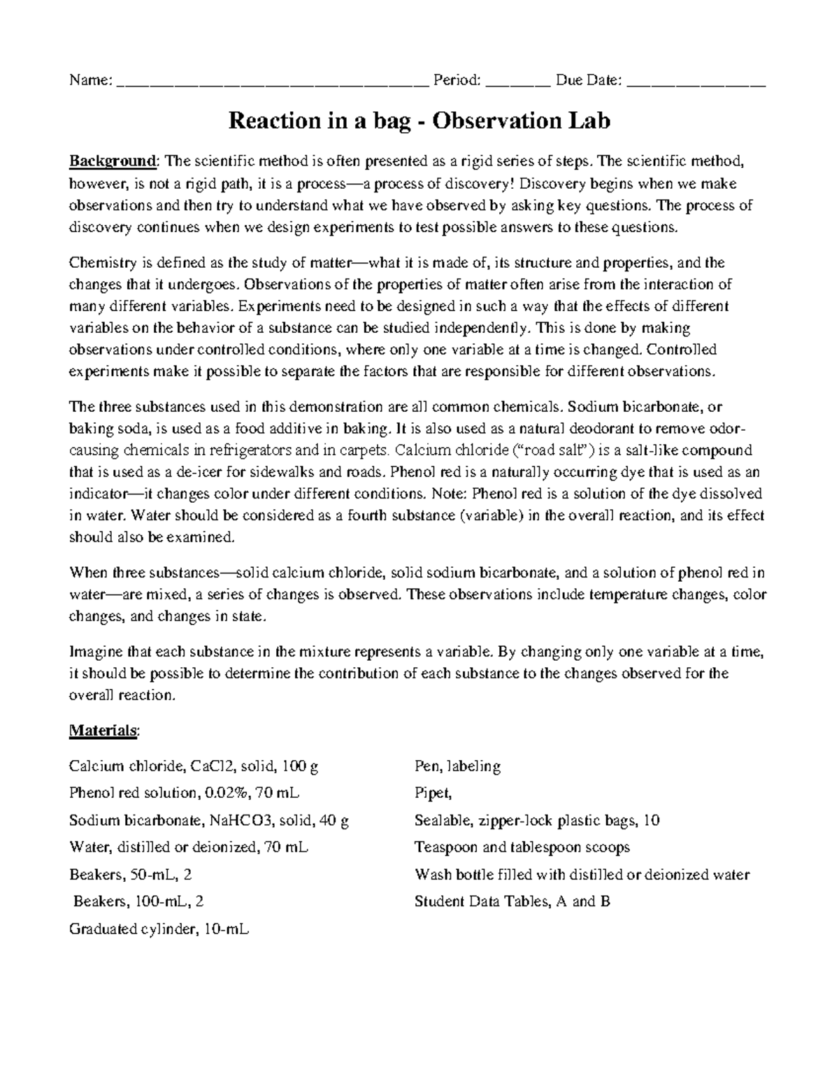 Kami Export - Reaction in a bag - observatin lab - Name