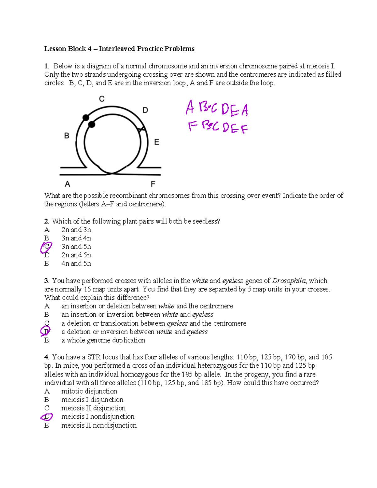 Bio2581B Lesson Block 4 - Interleaved Practice Problems-1 - Lesson ...
