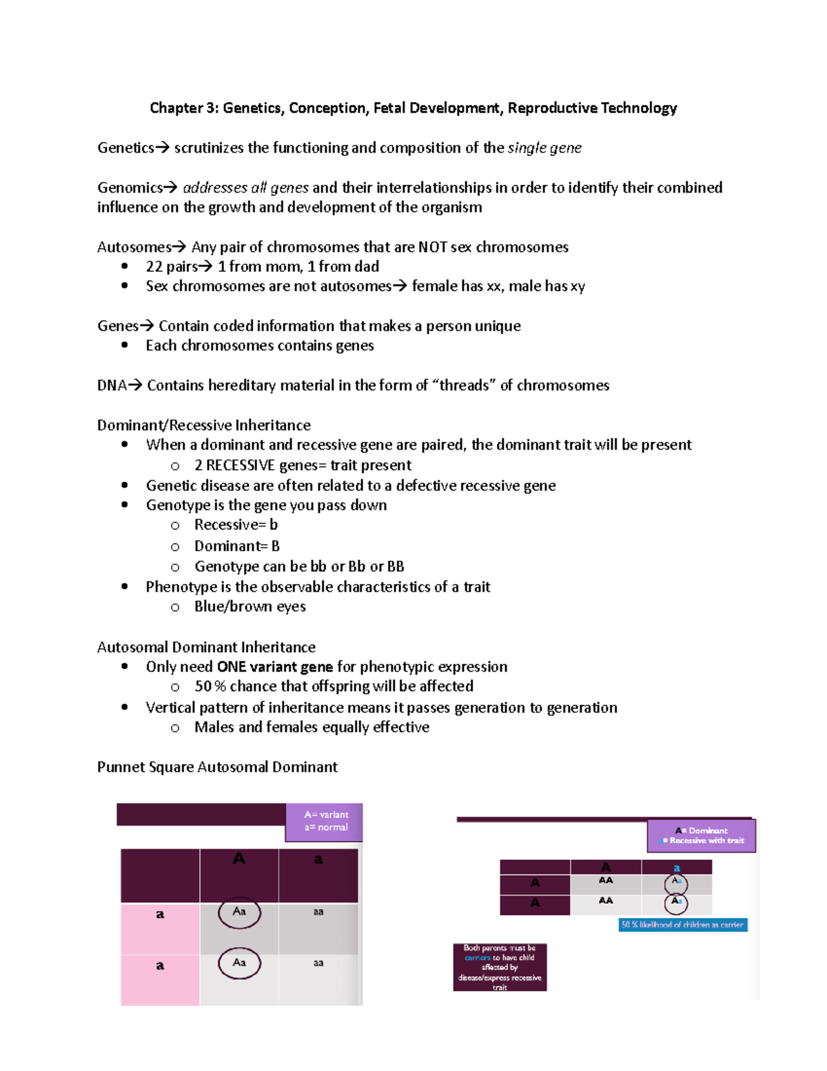 Chapter 3 Genetics, Conception, Fetal Development, Reproductive ...