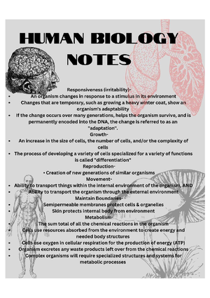 2019 National Spanish Examination - Achievement - Level 1 - National ...