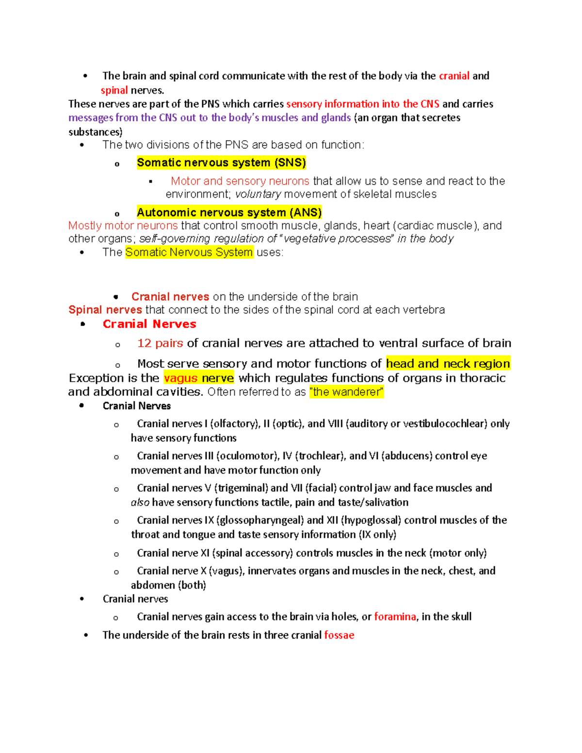 Nervous System These are detailed notes from lecture and summaries for ...