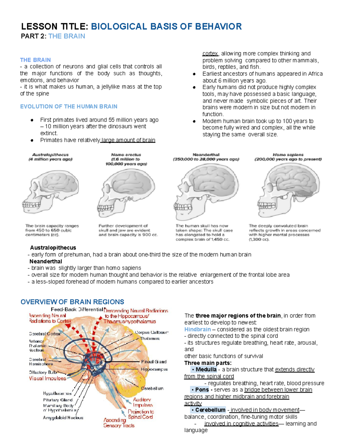 PSY079: Introduction to Psychology SAS 4 - LESSON TITLE: BIOLOGICAL ...