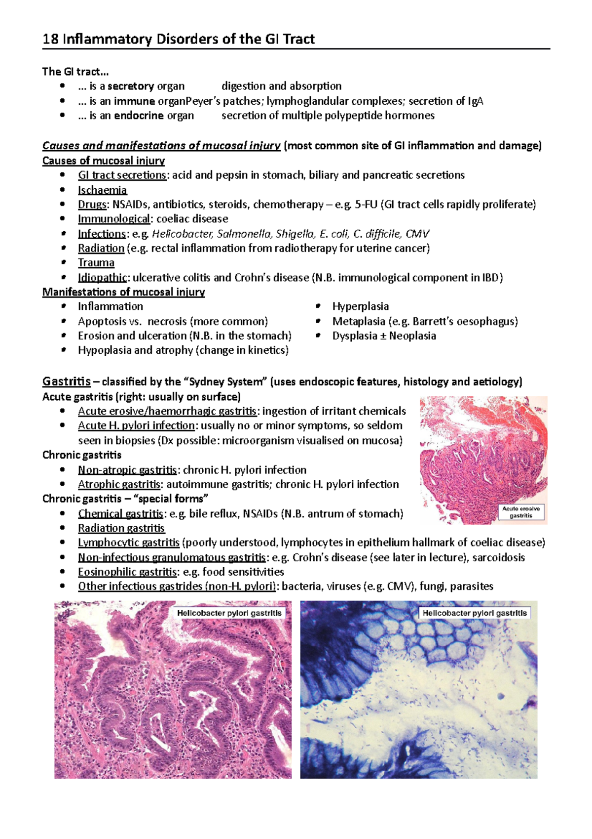 18 Inflammatory Disorders of the GI Tract - .. ... is a secretory organ ...