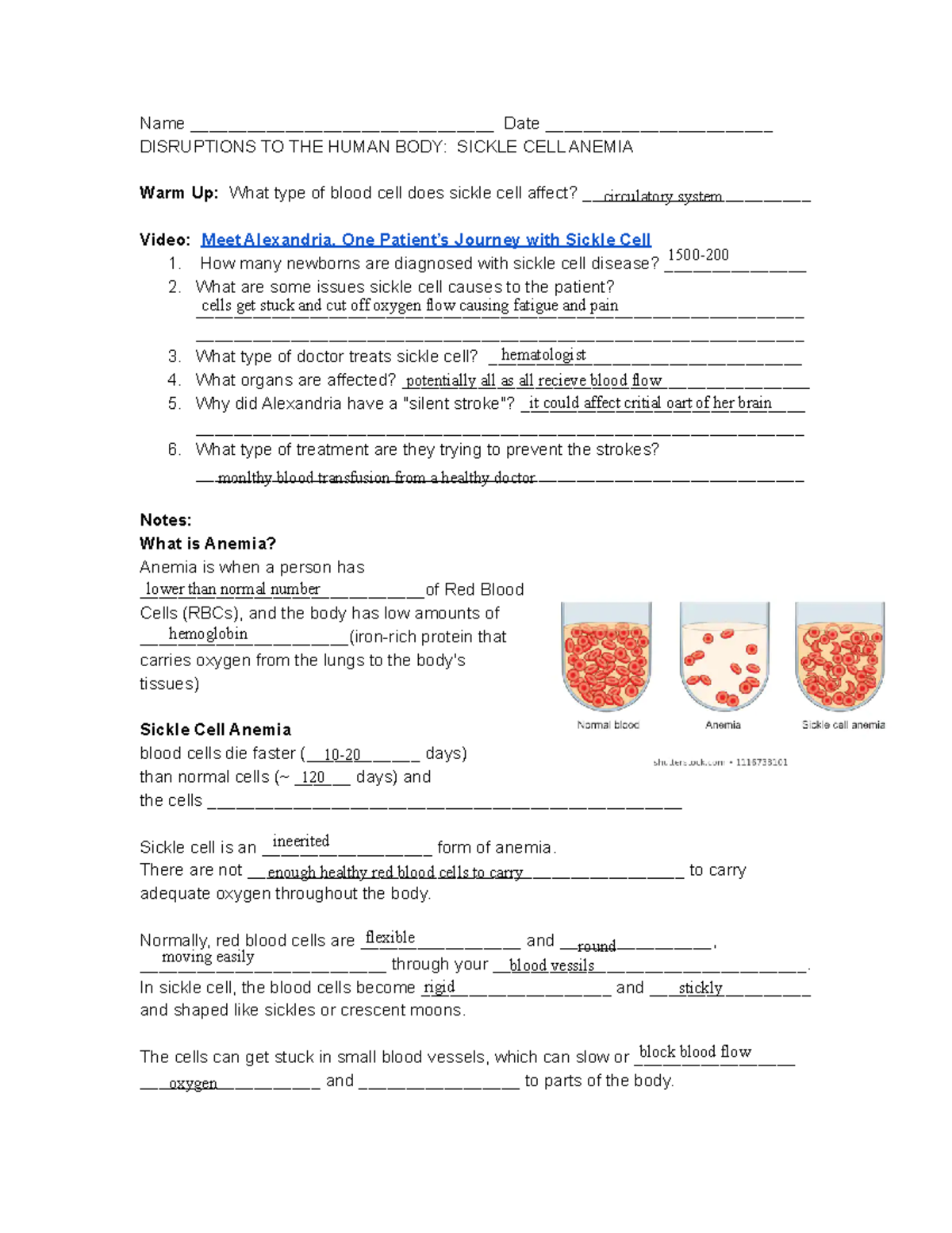 Kami Export - NG Sickle Cell Lesson 21 - Name ...
