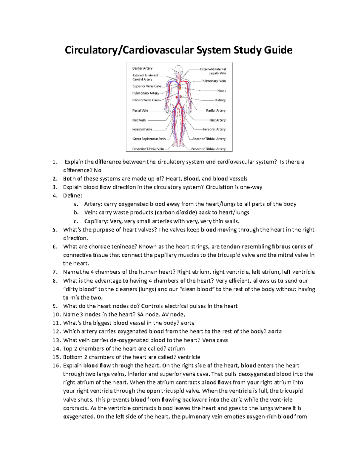 Circulatory System Study Guide - Circulatory/Cardiovascular System ...