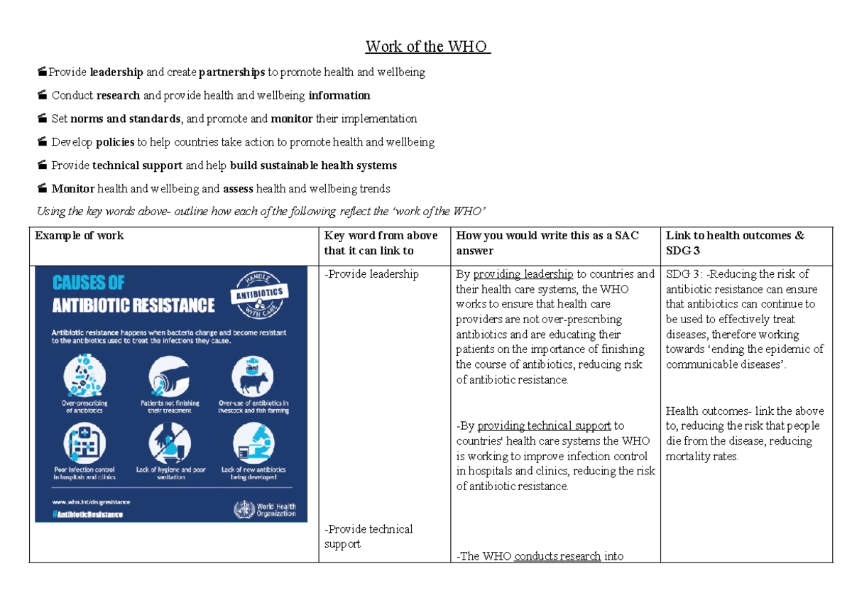Work of the WHO - need notes - Work of the WHO Provide leadership and ...