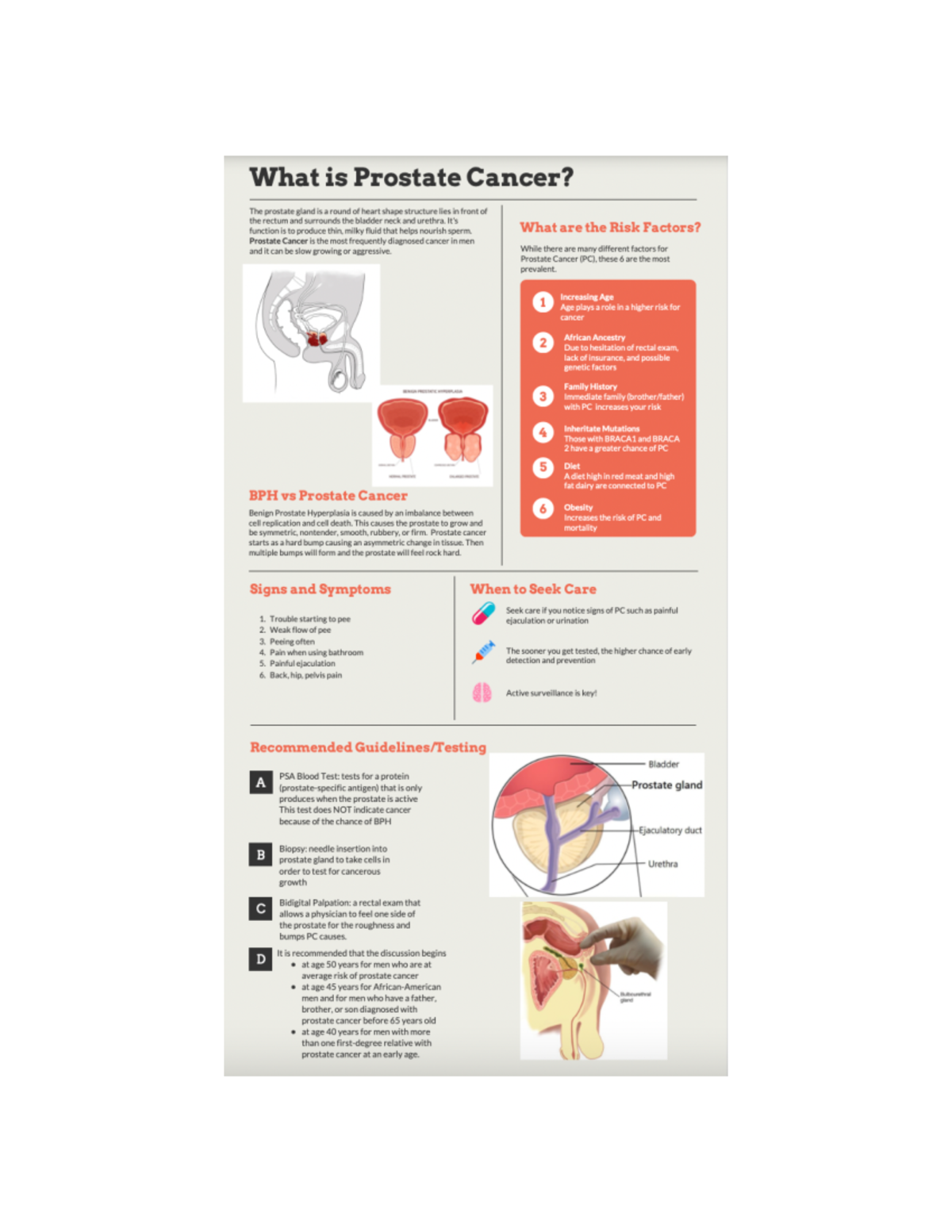 Prostate Infographic - AEB 101 - Studocu