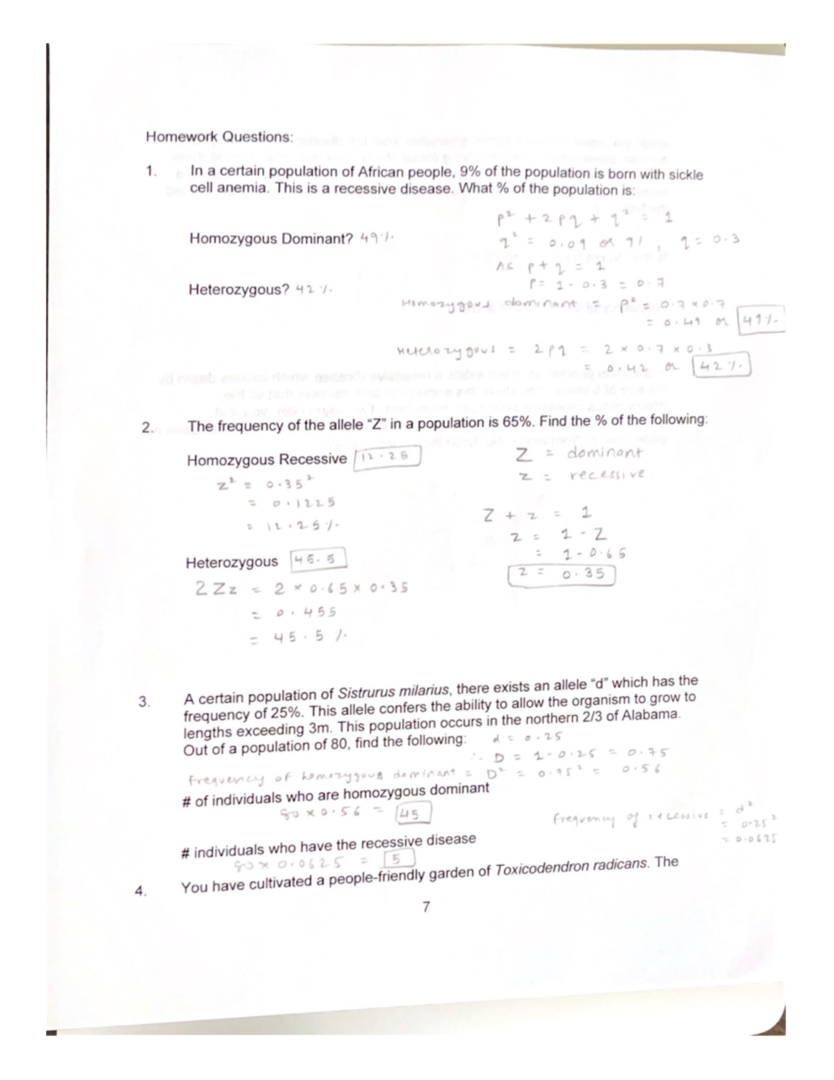 Homework Questions By 123 - BY 123L - Studocu