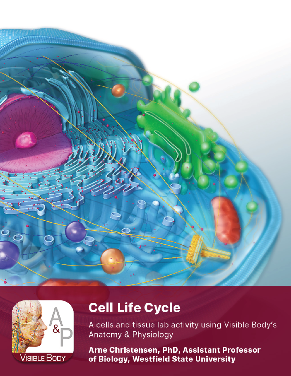 Lab manual cell life cycle a+p - PRE-LAB EXERCISES Open the A&P app ...