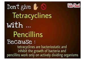 Shadow Health Subjective Data Collection Skin, hair, nails - Subjective ...