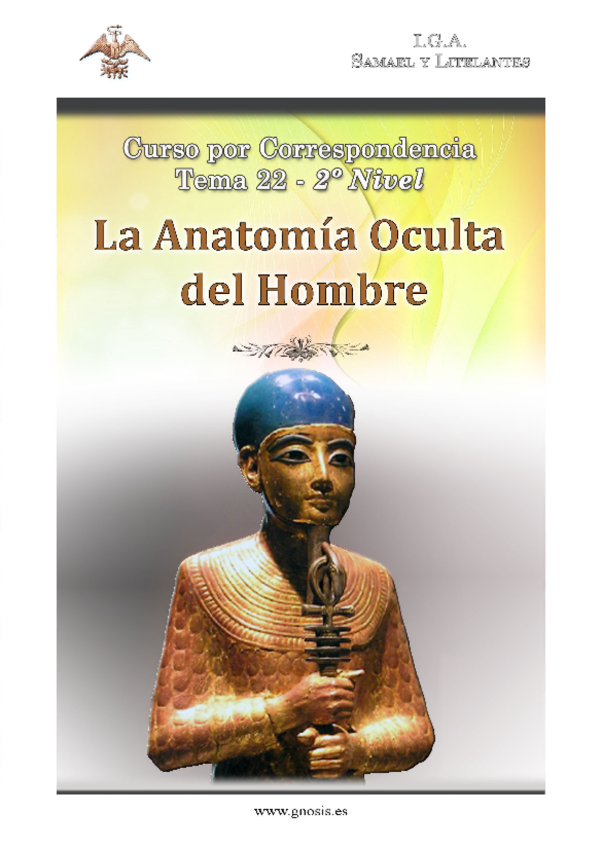 22 la anatomia oculta del hombre - Tema nº 22 - La Anatomía Oculta del ...