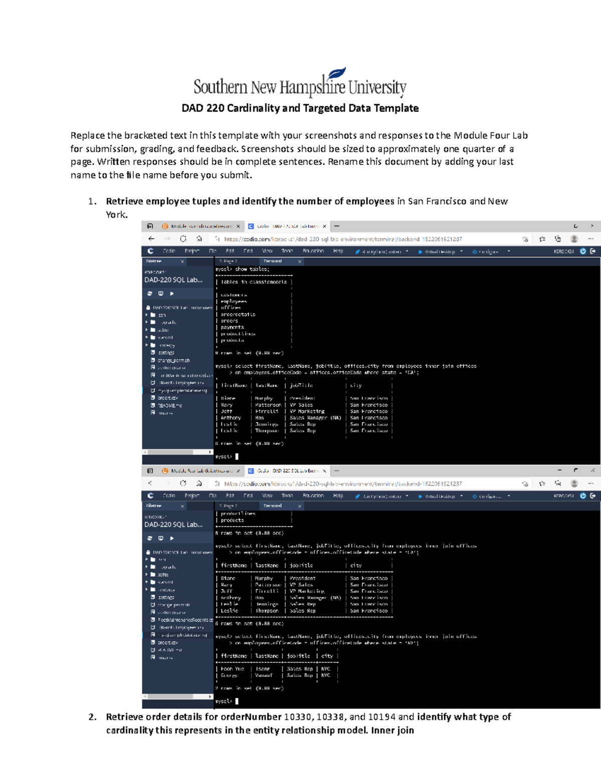 DAD 220 Cardinality and Targeted Data Template - DAD 220 Cardinality ...