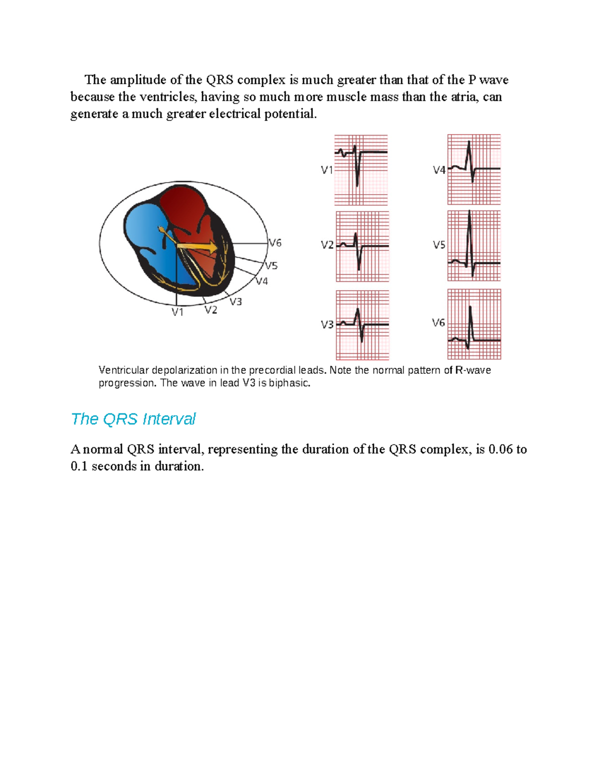 The only EKG-24 - The only EKG - The amplitude of the QRS complex is ...