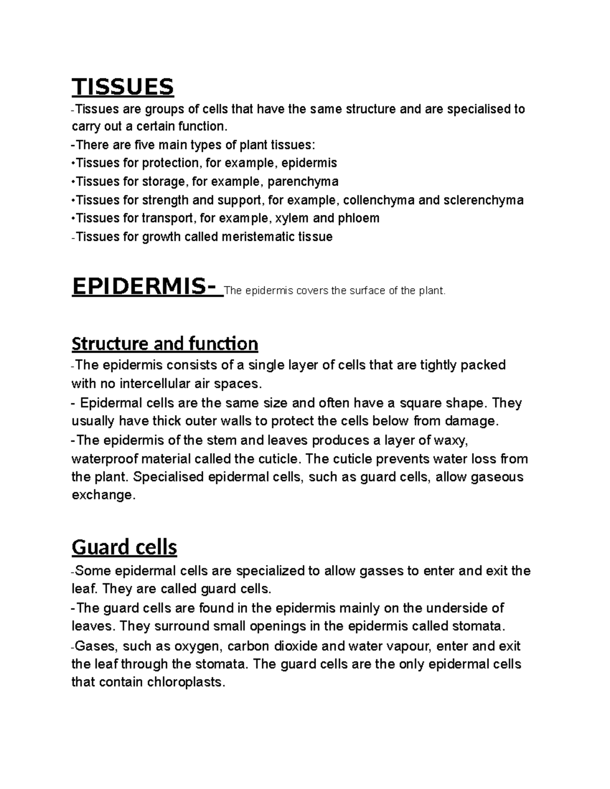 Plant Tissues - school - TISSUES - Tissues are groups of cells that ...