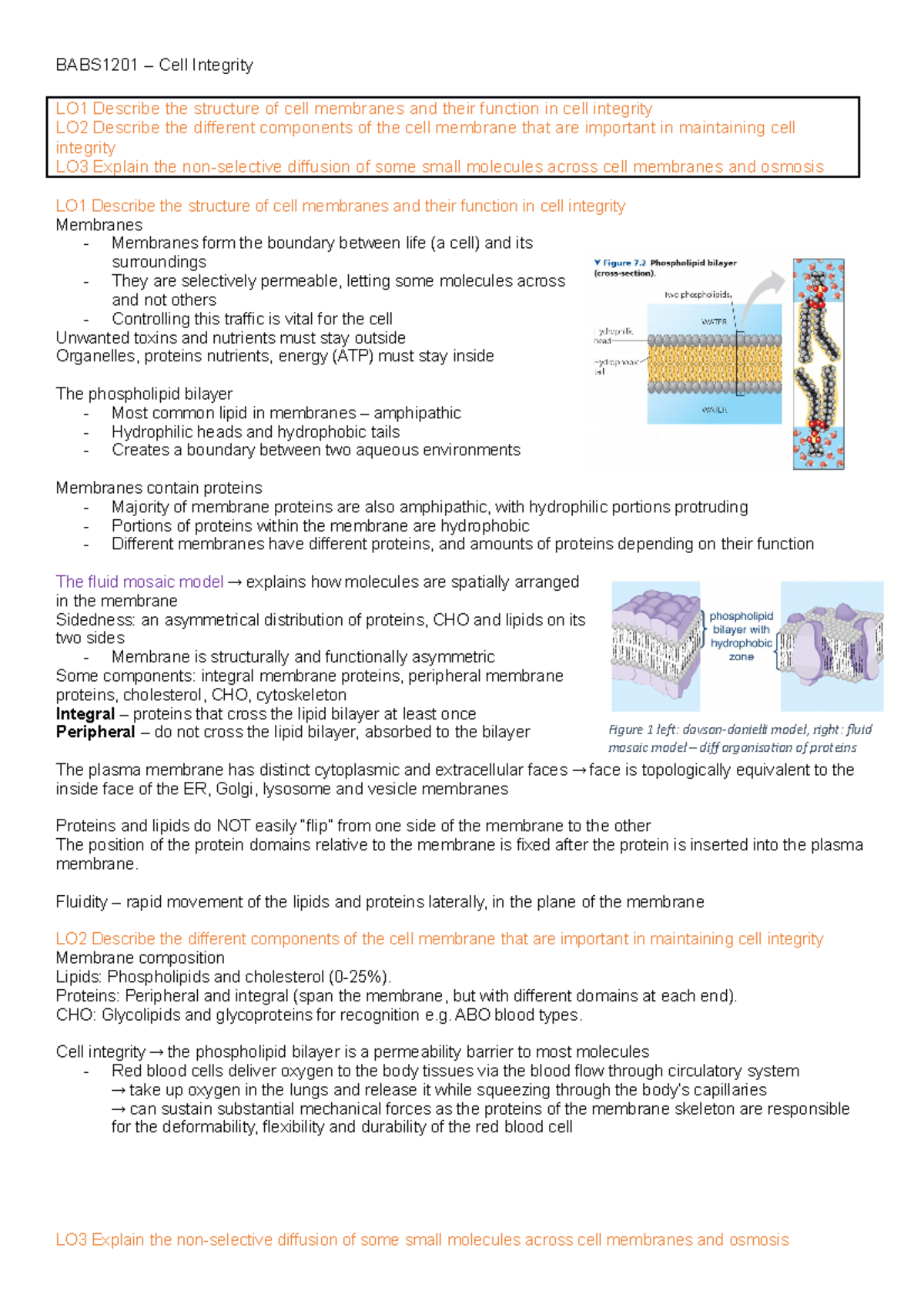 Babas 1201 - Cell Integrity - BABS1201 – Cell Integrity LO1 Describe ...