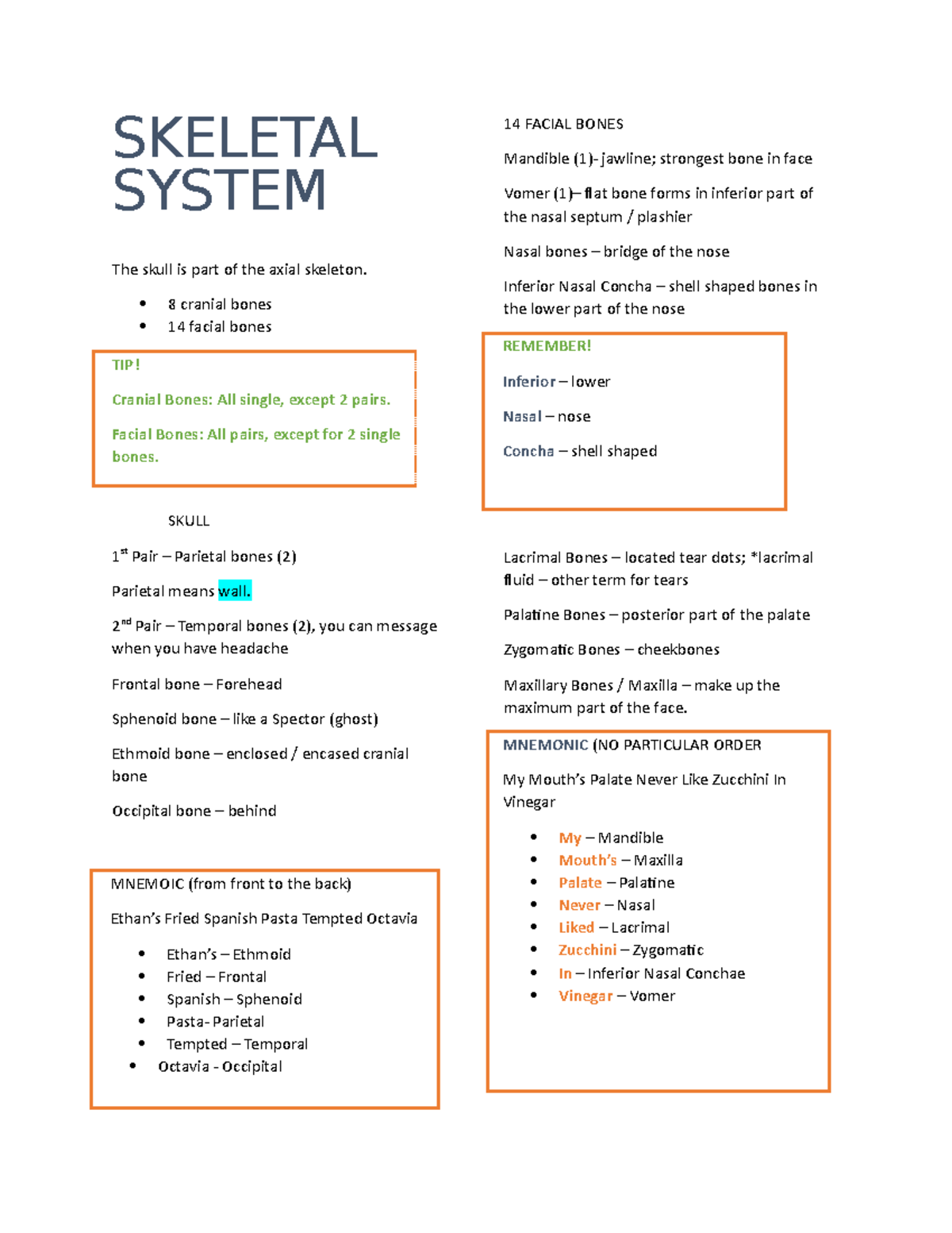 Skeletal System - Anatomy and Physiology - UPHSD - Studocu