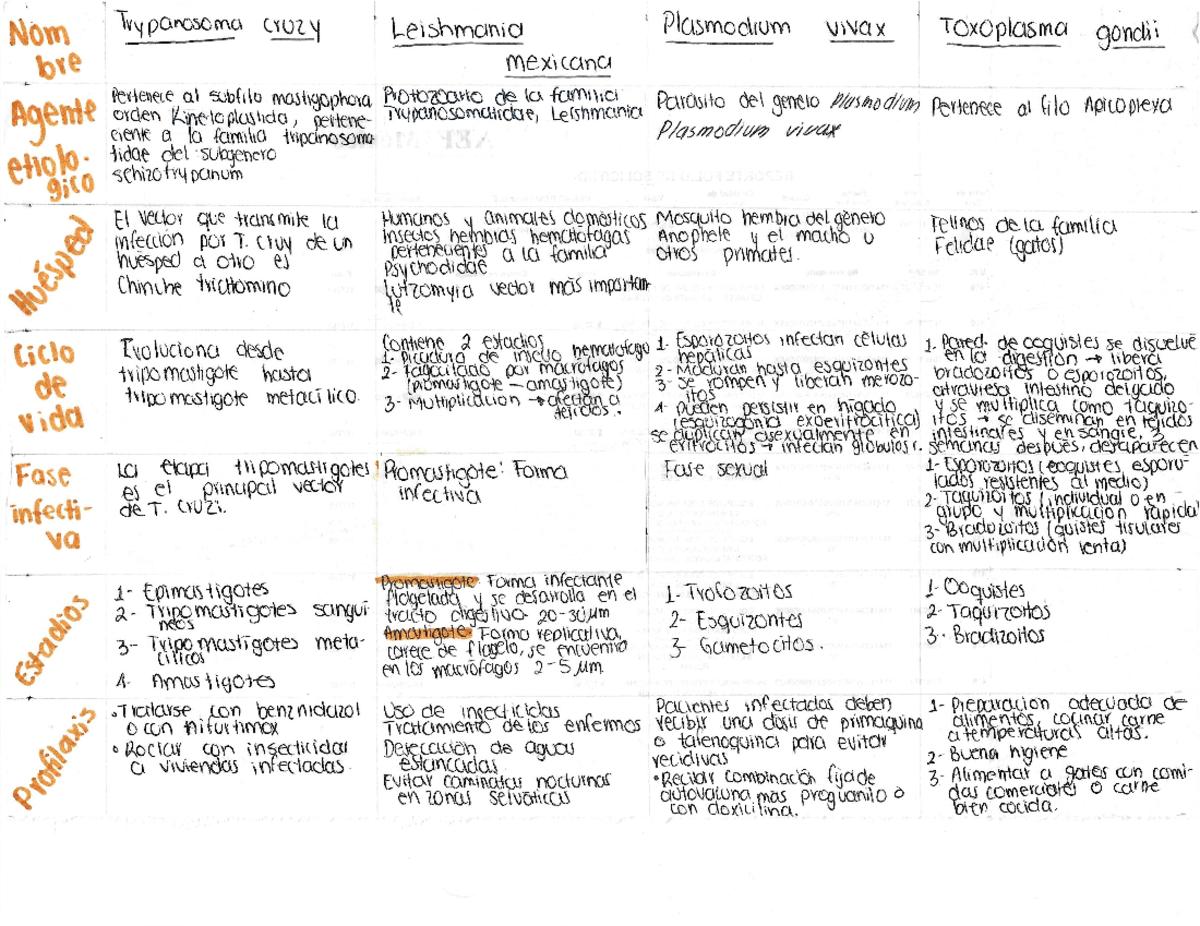 Cuadro Doble Entrada - Parásitos - Microbiología Y Parasitología - Studocu