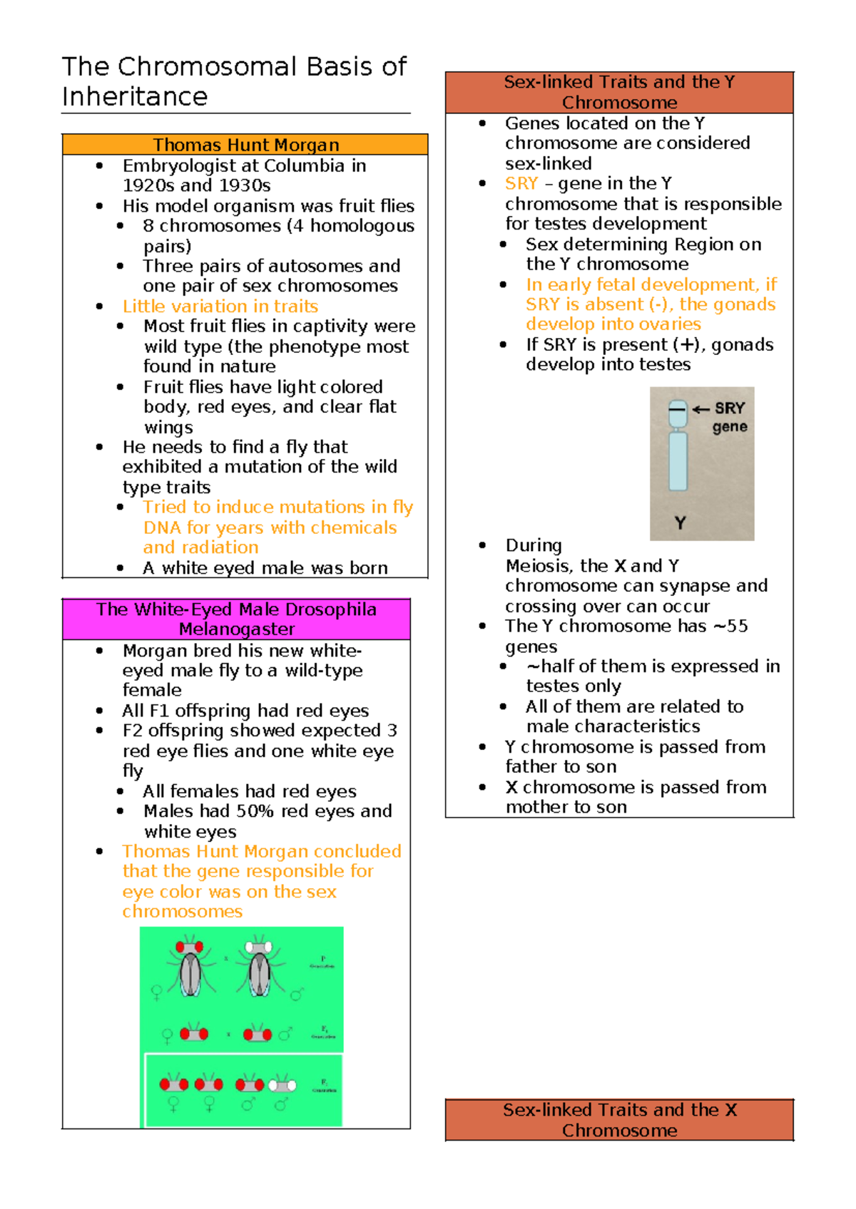 Chapter 15 Notes - The Chromosomal Basis of Inheritance Thomas Hunt ...