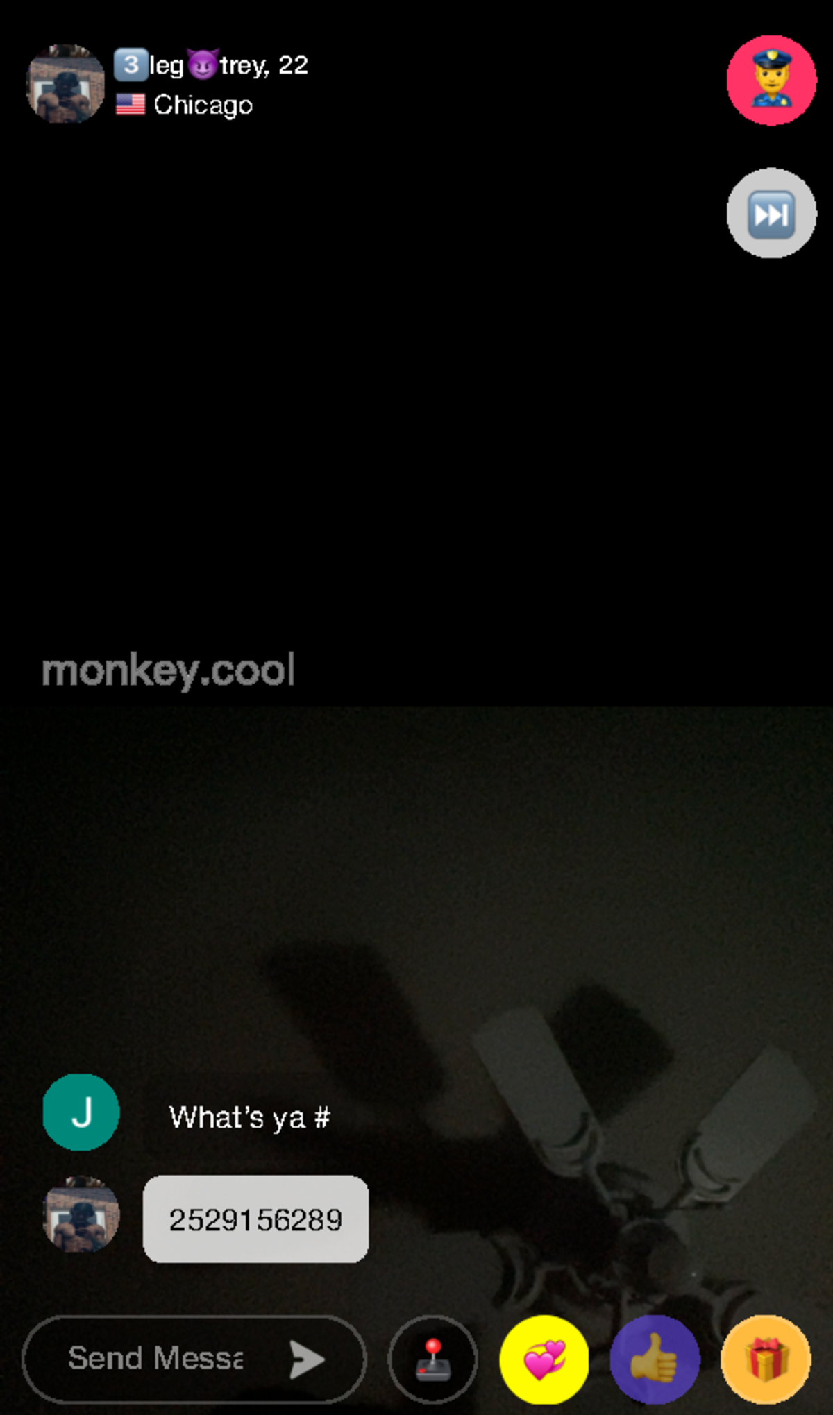 Monkey Free Random Video Chat Like Omegle with Strangers - HIST 3133 ...