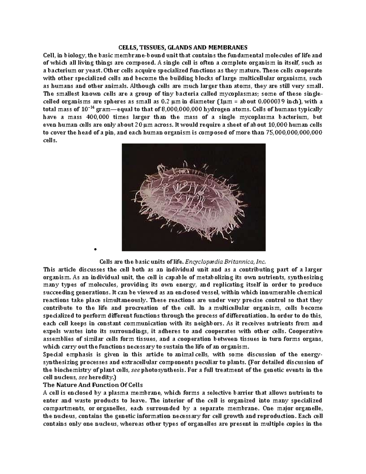 Scribd - precise notes for universty students - CELLS, TISSUES, GLANDS ...