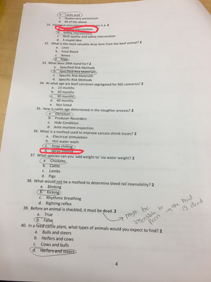Exam 3 Short Answer - Professor: Bob Delmore - ANEQ 360 - CSU - Studocu