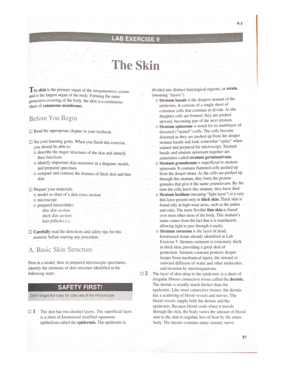 Activity The-Skin - Anatomy of The skin - Community Health Nursing ...