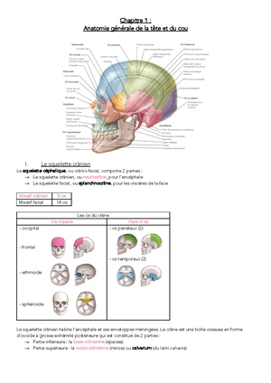 Anapath - Résumé Anatomie générale - Université Pierre et Marie Curie ...