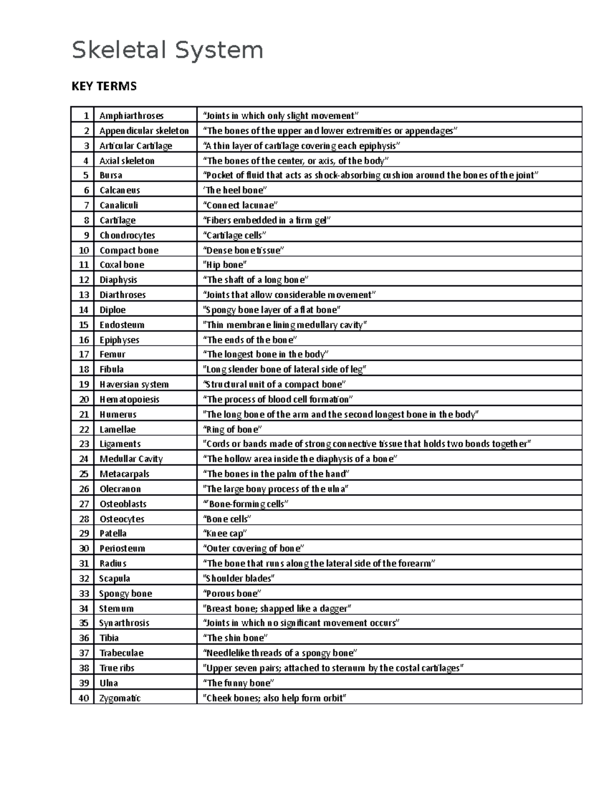 Skeletal System Individual Reflection Skeletal System KEY TERMS 1 skeletal-system-individual-reflection-skeletal-system-key-terms-1